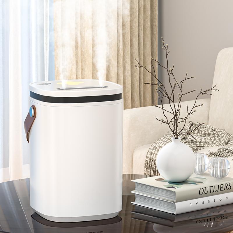 Why You Need a Humidifier in Your Daily Life: Benefits, Usage, and ...